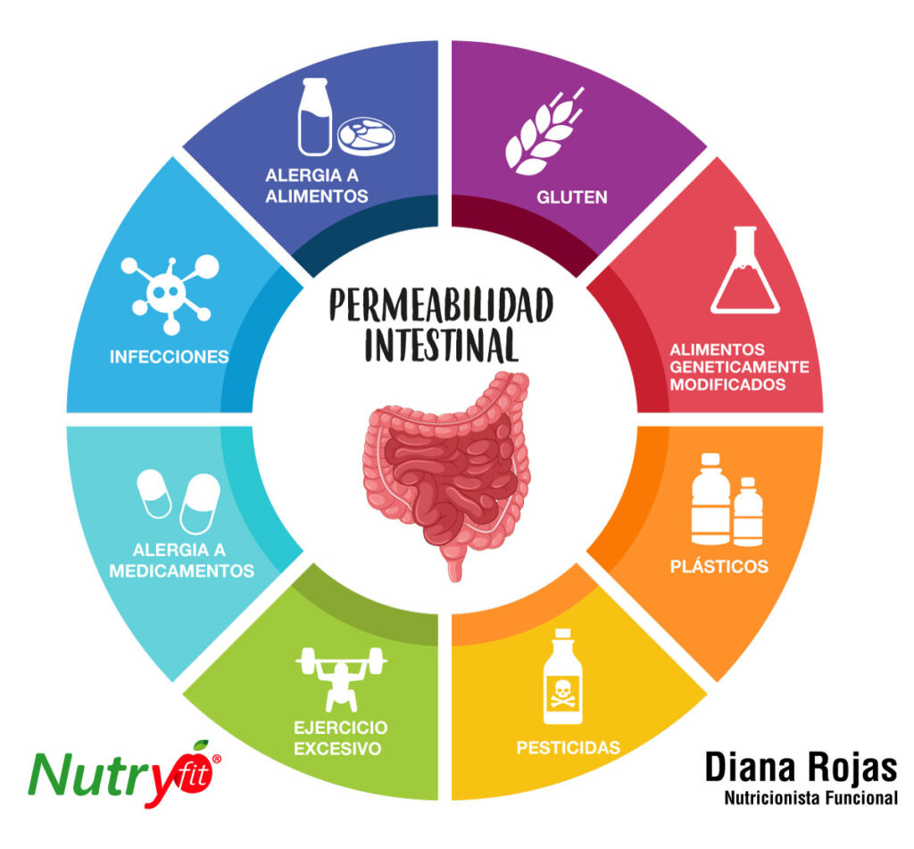 Intestino permeables, conoce qué es y como afecta tu salud ...